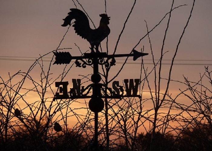 Home [www.skeals.co.uk]